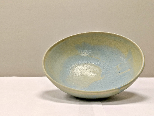 BiddingOwl - The DREAM Program Auction