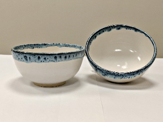 BiddingOwl - The DREAM Program Auction