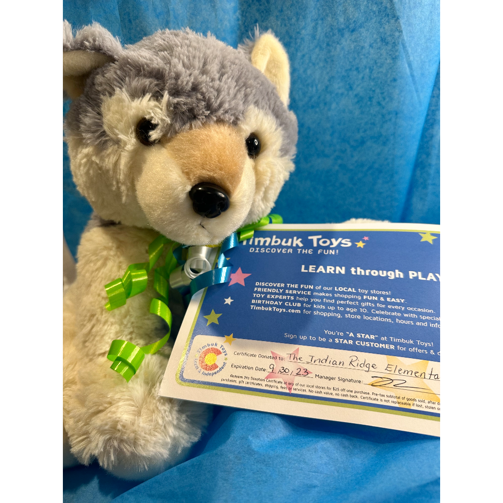 BiddingOwl - Indian Ridge Elementary School Auction