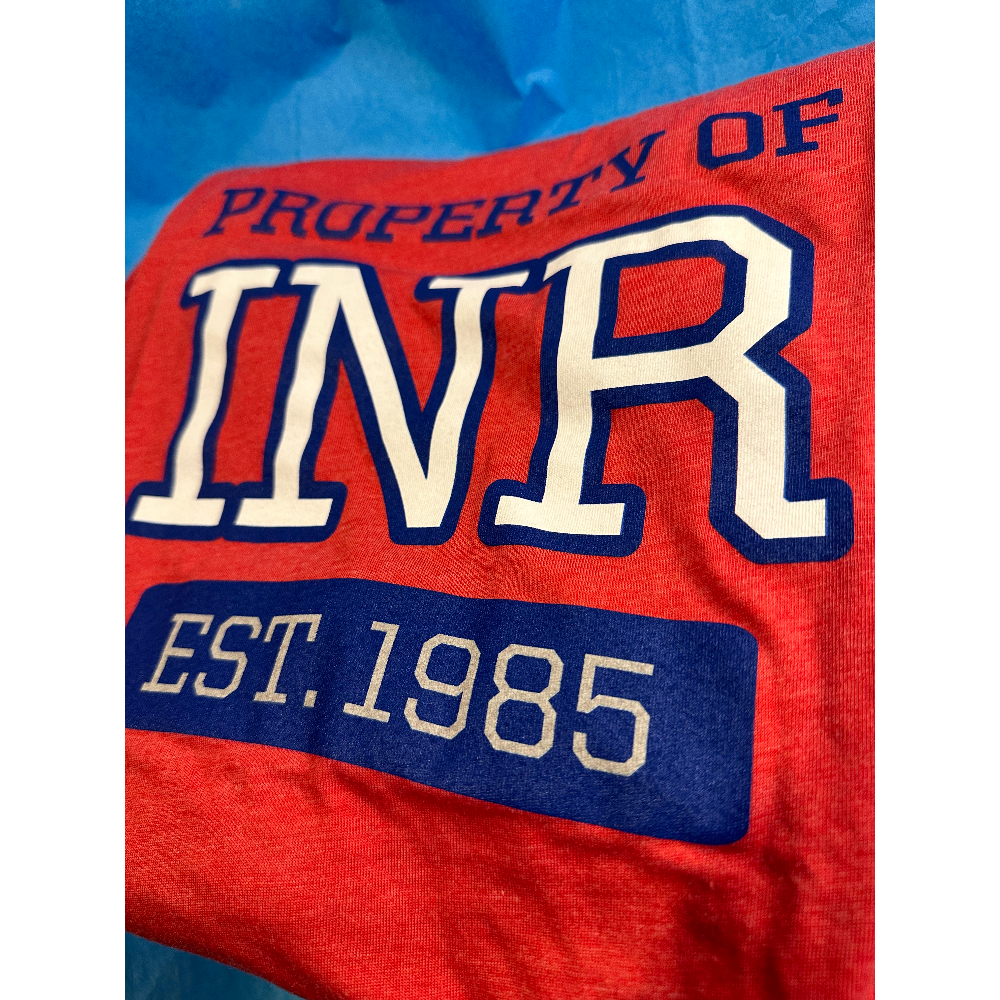 BiddingOwl - Indian Ridge Elementary School Auction